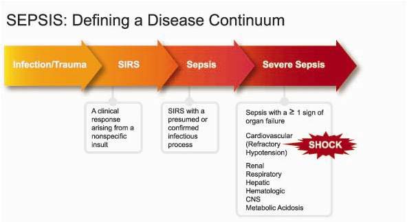 Procalcitonin Is a Prognostic Marker of Hospital Outcomes in Patients ...