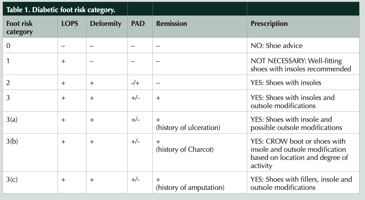 Diabetic foot risk classification and shoe recommendations: lessons ...