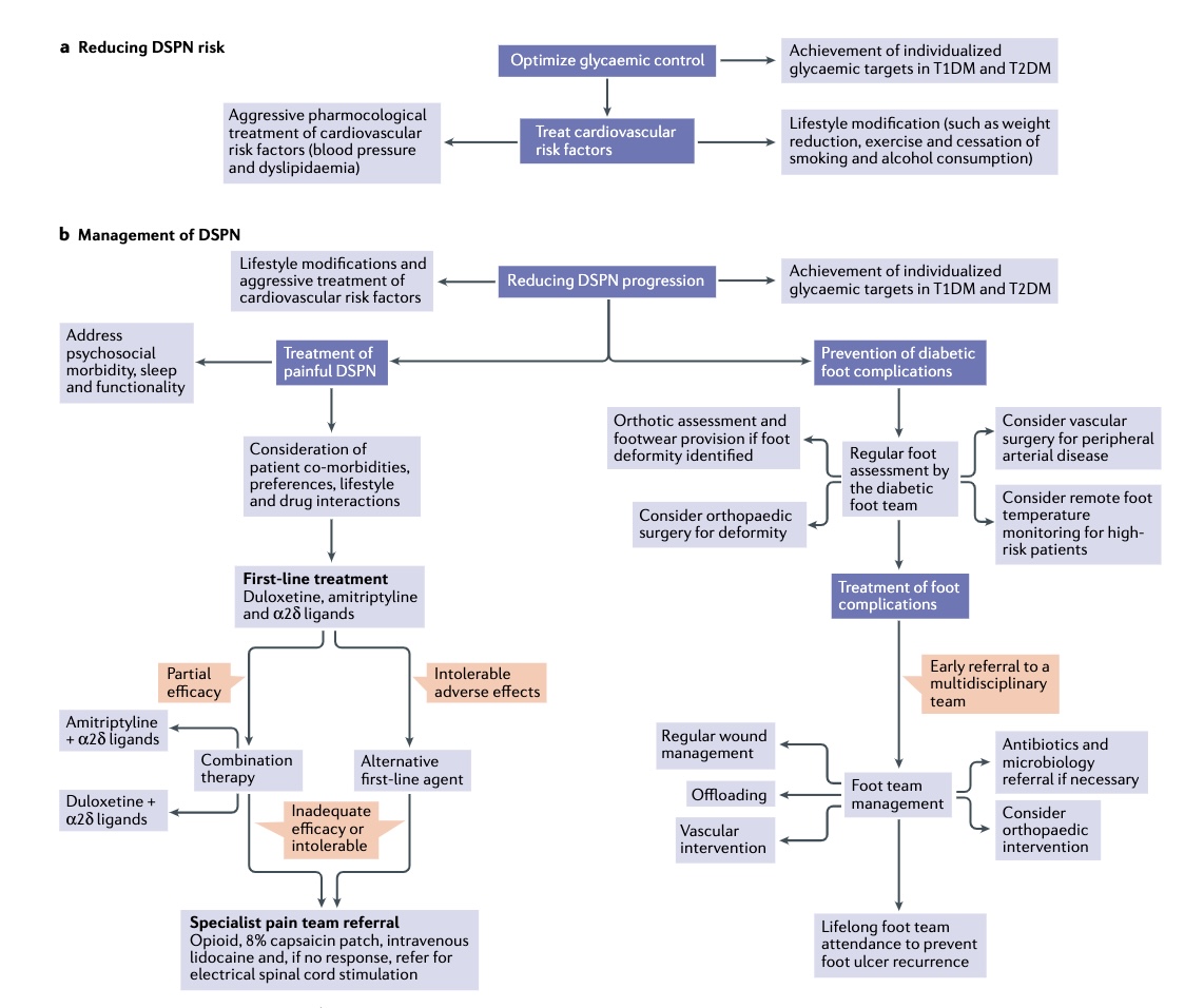 Pathogenesis, diagnosis and clinical management of diabetic ...