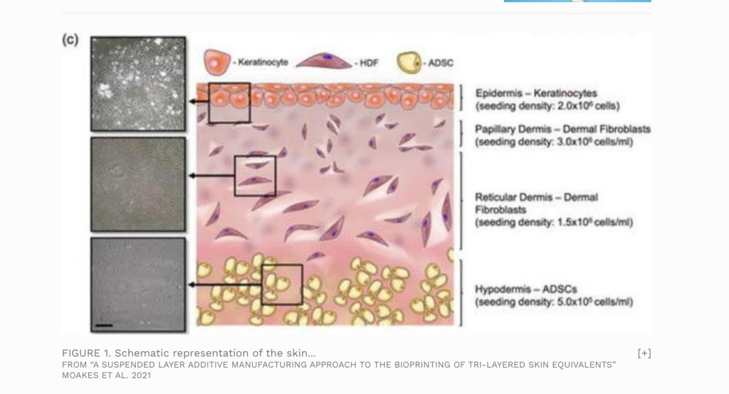 3D Printed Skin: A Potentially New Treatment for Chronic Wounds - DF Blog