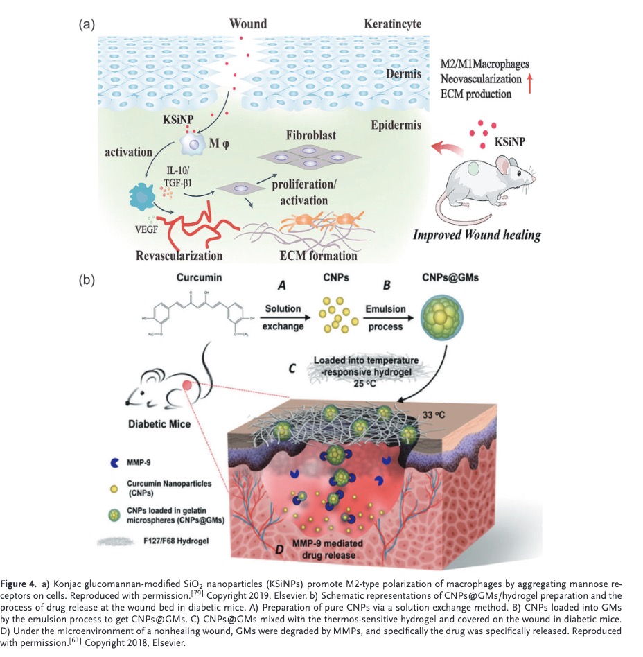 Microenvironment-Based Diabetic Foot Ulcer Nanomedicine # ...