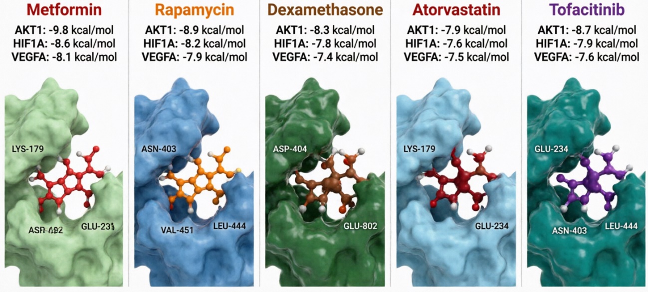 Old Drugs, New Logic: Could #Metformin Be a Causal Repair Switch in the ...